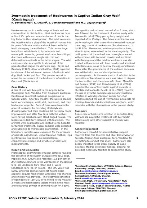 Pdf Ivermectin Treatment Of Hookworms In Captive Indian Gray Wolf Canis Lupus