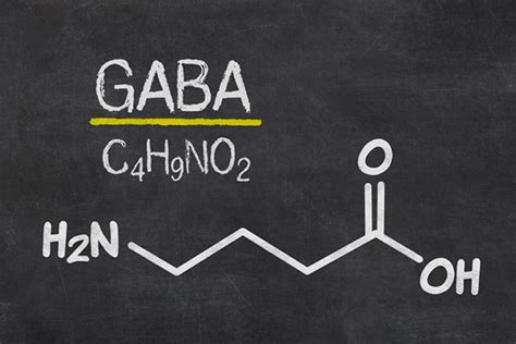 Everything You Need to Know About GABA | BODi
