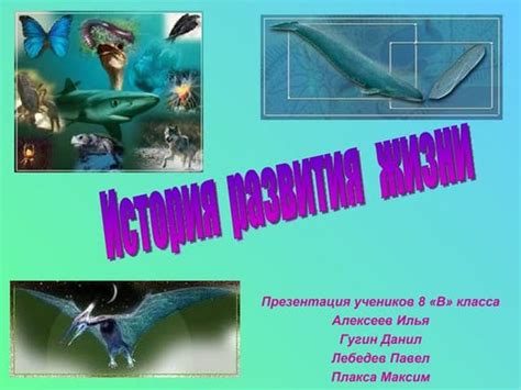 чулуун мандлын хөдөлгөөн Ppt