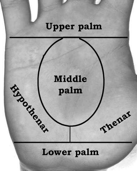 Basic Principles And Trends In Hand Geometry And Hand Shape Biometrics