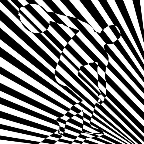 Black And White Contrast Principles Of Design Contrast Contrast Art