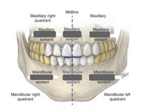 Tooth Sextants Quiz