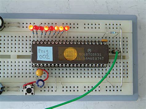 Everything You Need To Know To Get Started With C Digit