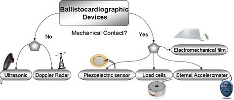 Bcg Monitoring System Classification Diagram Download Scientific Diagram