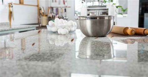 What Are The Tiny Bugs On My Kitchen Countertops