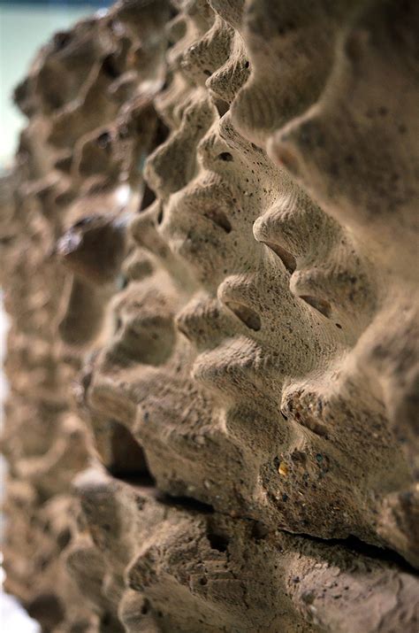 Bricks Made From Loofah And Charcoal Could Promote Biodiversity In Cities