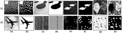 Performance Of The Proposed Method On Different Images From Different
