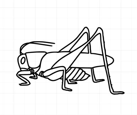 Grasshopper Svg Etsy