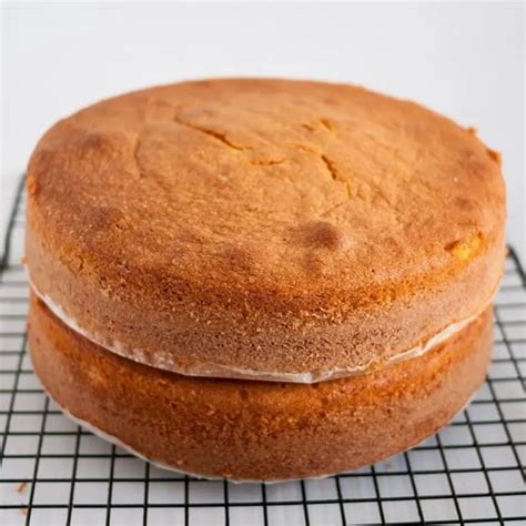 Classic Sponge Cake Perfection Bncakecom Useful Informations About