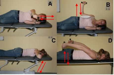Exercises To Strengthen Scapular Muscles