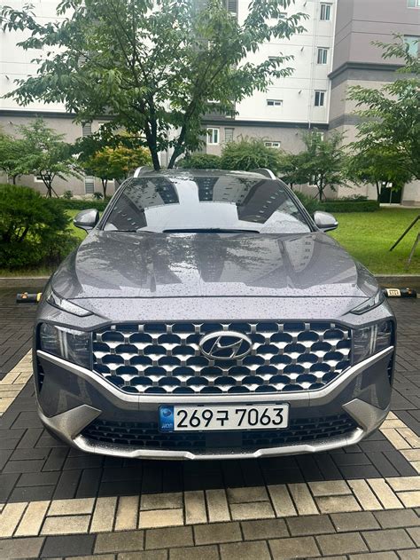 더 뉴 싼타페 Tm 5인승hev 16t Fwd 프레스티지디자인플러스Ⅱ 안창동 당근 중고차