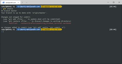 Setting Up The Windows Terminal