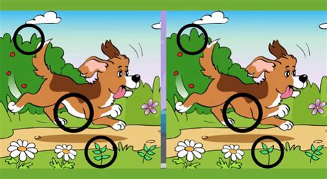 RETO VISUAL nivel PRO solo el encontró las diferencias en segundos