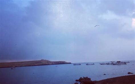 بالصور مشاهد من بداية تشكل السيول في محافظة الوجه Arabiaweather