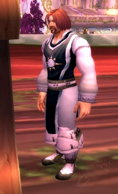 Dawnwatcher Selgorm Npc World Of Warcraft