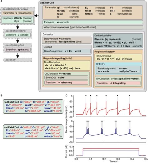 example of adaptive exponential integrate and fire neuron model