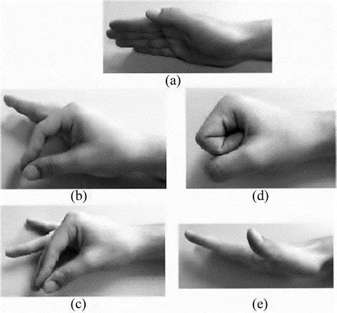 Hand Positioning A Neutral Position B Pinch C Tripod D Hand