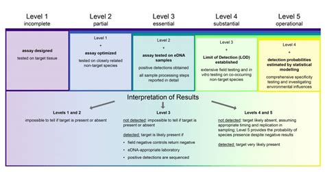 Edna Validation Edna Validation Scale A Simple Framework
