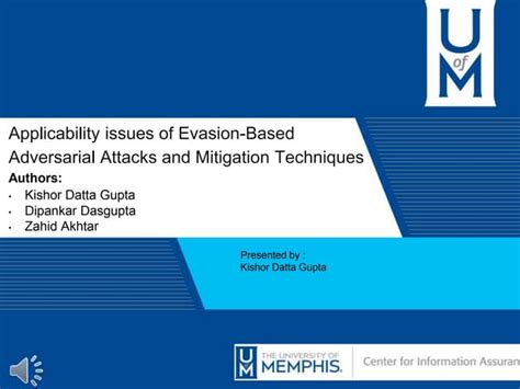 applicability issues of evasion based adversarial attacks and