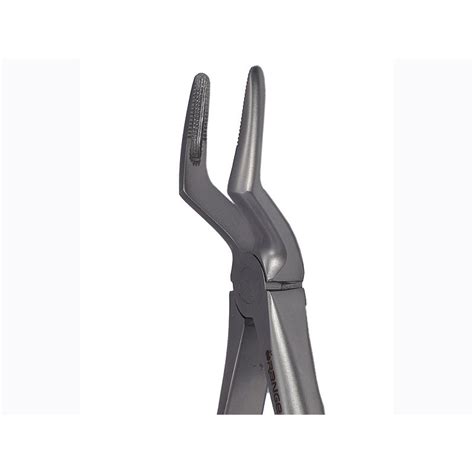 A Upper Roots Forceps Orange Instruments