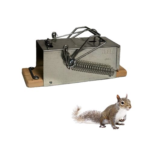 Squirrel Ouell Traps Outdoor Big Patio Lawn And Garden