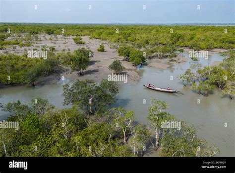 Aerial View Of A Canoe In The Sundarbans Mangrove Area Pakhiralay