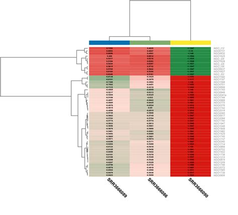 Pairwise Differential Expression Analysis Without Replicates