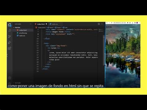 Como Poner Una Imagen De Fondo En Html Con Css Silver Sites