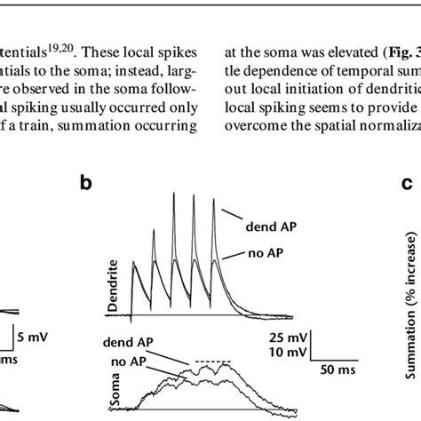 Pdf Dendritic Ih Normalizes Temporal Summation In Hippocampal Ca1 Neurons