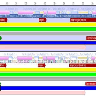 Schematic Representation Of The Amino Acid Sequence From160 Till