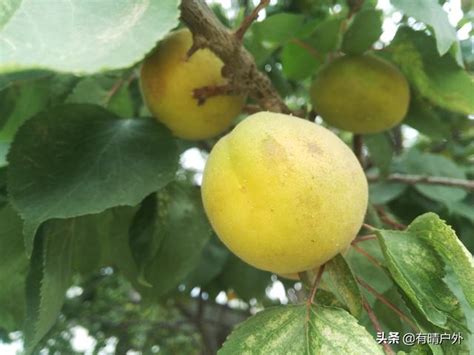 章丘垛莊海山湖豎山子爬山環遊兩處泉眼幾乎斷流 每日頭條