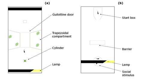 View From Above Of The Apparatuses Used In A Experiment 1 And In B Download Scientific