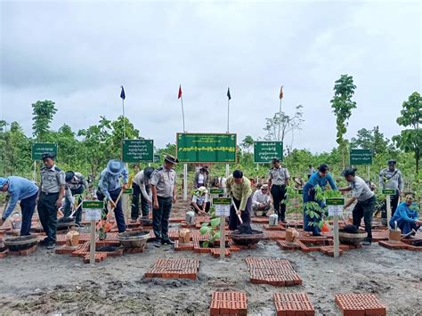 အင်္ဂပူမြို့နယ်တွင် ၂၀၂၅ ခုနှစ်၊ မိုးရာသီအကြိုစုပေါင်းသစ်ပင်စိုက်ပျိုးပွဲ ပြုလုပ် Information