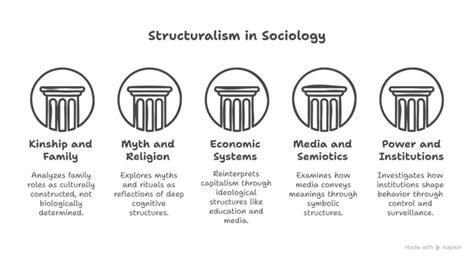 Structuralism Approach To The Study Of Society And 30 Question
