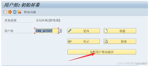 在sap中使用query（特殊查询）运维柠檬汽水白胖胖 腾讯云开发者社区
