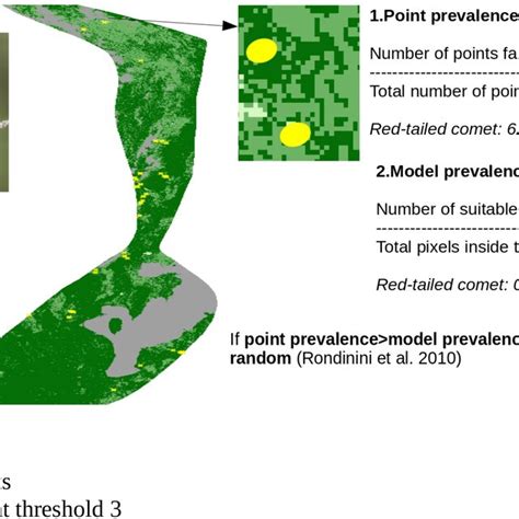 Figure A4 Point Validation Of The Aoh Map Of The Species Red Tailed Download Scientific