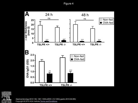 Ana Belén Blázquez Lloyd Mayer M Cecilia Berin Gastroenterology ppt download