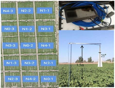 Modeling Of Cotton Yield Estimation Based On Canopy Sun Induced Chlorophyll Fluorescence