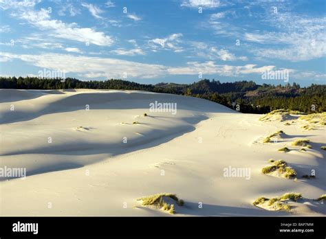 Sand Dunes Oregon Dunes National Recreation Area Reedsport Oregon