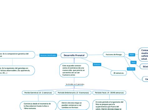 Desarrollo Prenatal Mind Map