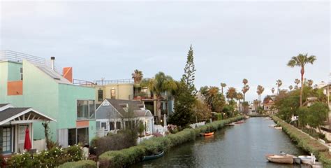 Zane Hill Hill Zane Twitter