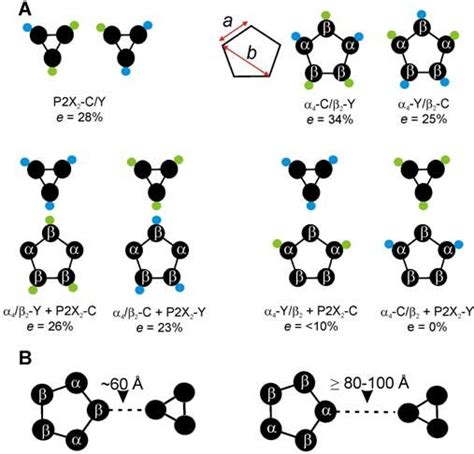 Diagrams Summarizing FRET Data A Summary Of The FRET Efficiency Download Scientific Diagram