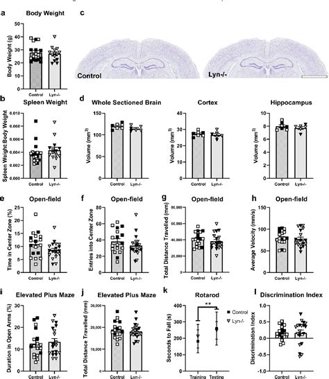 Figure 1 From Regulation Of Microglial Signaling By Lyn And Ship 1 In The Steady State Adult