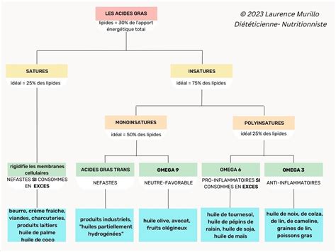 Les Lipides Laurence Murillo