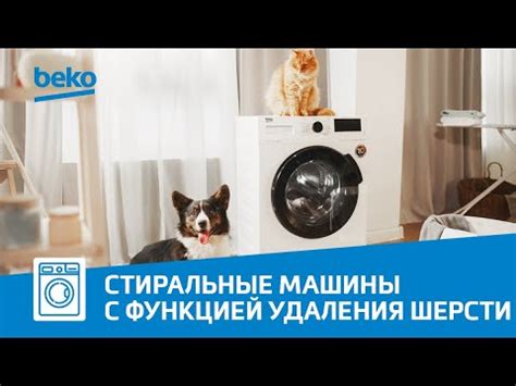 Стиральные машины Beko - функция удаления шерсти домашних животных ...