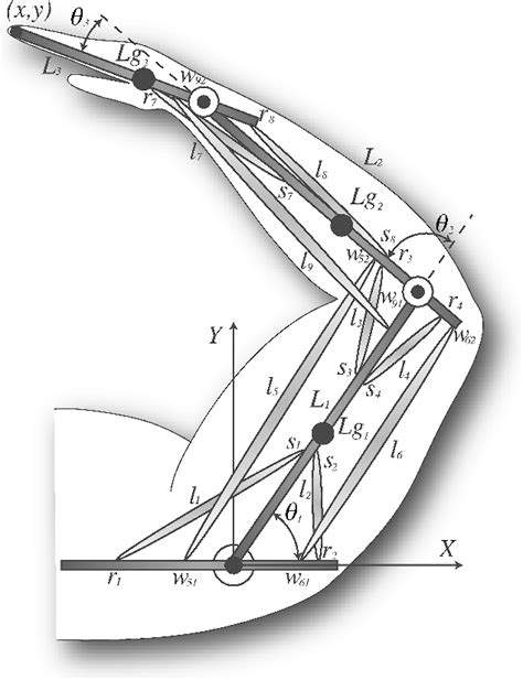 Figure 1 From On Control Of Reaching Movements For Musculo Skeletal Redundant Arm Model