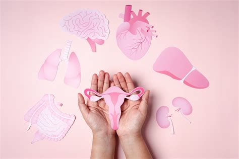 Preparing For Fibroid Surgery Your Hospital Bag Checklist And Recovery