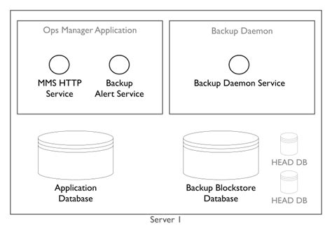 Example Deployment Topologies — Mongodb Ops Manager 18