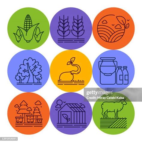 Grain Bin Vector Photos And Premium High Res Pictures Getty Images