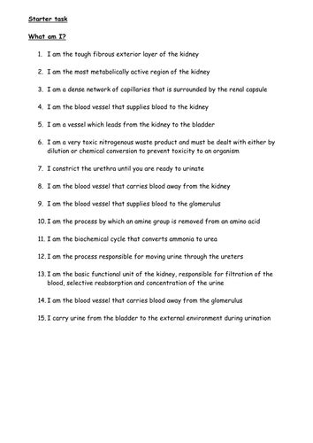 Glomerulus And Ultrafiltration Teaching Resources